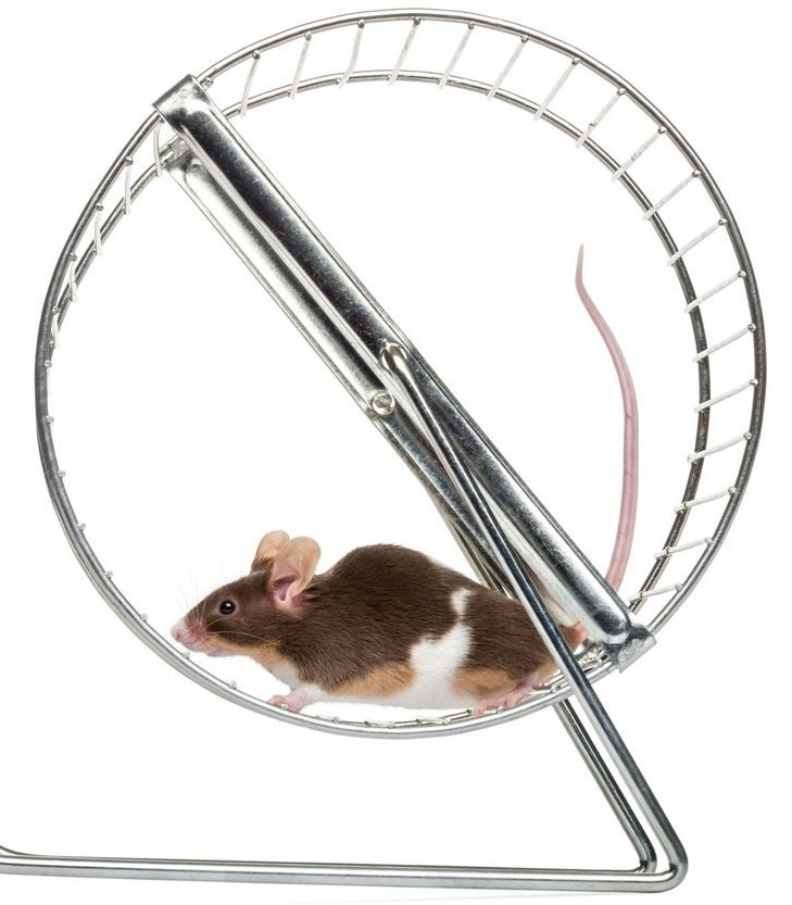 The insanity investment plan - GrowthRater